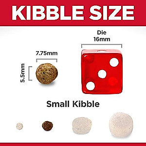 Hill's Science Diet Dry Dog Food, Adult, Light for Healthy Weight & Weight Management, Small Bites, Chicken Meal & Barley Recipe, 5 lb. Bag