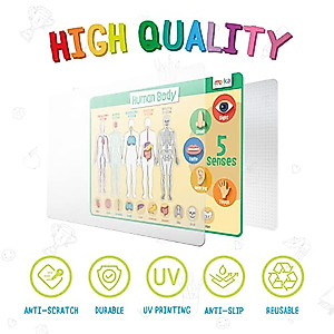 merka Placemats for Kids Placemat Kids Placemats for Dining Table Solar System Human Body Chart World Geography and USA Map Set of 4 Reusable