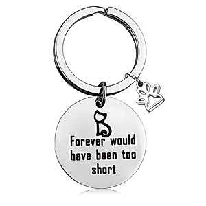 FEELMEM Cat Memorial Keychain Forever Would Have Been Too Short Paw Print Keychain Loss of Pet In Loving Memory of Cat Jewelry Gift for Cat Lover (Silver)