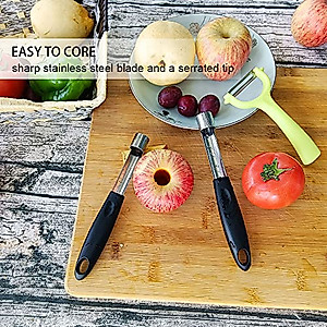 2PCS Apple Cupcake Corer, Fruit Vegetable Core Remover, Profession Healthy Stainless Steel Apple Remover Household Kitchen Tool for Fuji, Pears, Bell Peppers - Black