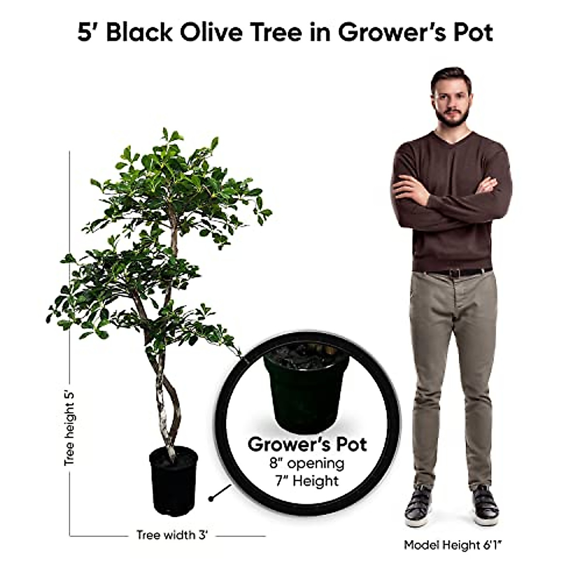 Hand-Made 5' Black Olive Leaf Artificial Tree with Ethically Sourced Real Wood Trunks | Green | Cypress & Alabaster