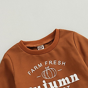 Toddler Baby Boy Halloween Outfits Tracksuit Pumpkin Print Long Sleeve Sweatshirt Elastic Pants Cute Infant Fall Clothes (Earthy Yellow, 18-24 Months)