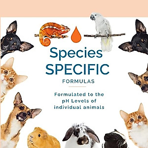 No Scent Bird Cage Cleaner Spray & Pet Odor Management, Natural Aviary Freshener (2 Fl Oz / 59 mL)