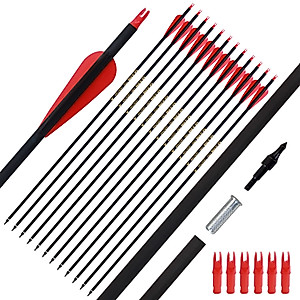 FENJANER Archery 30inch Carbon Arrow Spine 500 Practice Hunting Arrows with Removable Tips for Compound Bow and Recurve Bow (Pack of 12) (Red)
