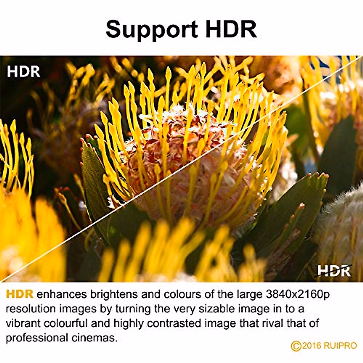 RUIPRO Fiber Optic HDMI Cable 50FT 4K 60FPS HDMI 2.0 18Gbps Active Optical Cable (AOC) / YUV4:4:4 201A