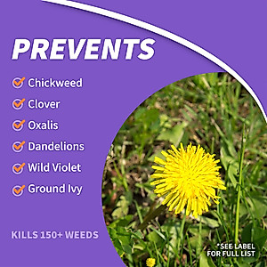 Bonide 1- Quart Chickweed Clover and Oxalis Weed Killer - 0612