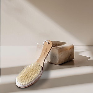 Exfoliating Back Scrubber for Shower, Dual-Use Body Scrubber for Wet/Dry Exfoliation, Dry Brushing Body Brush for Lymphatic Drainage, Natural Boar Bristles, Ergonomic Handle Cellulite Brush by rengöra