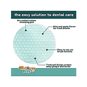 Wellnergy Pets Dental Wipes for Dogs and Cats - No Brush Formula; Improve Oral Hygiene and Health; Freshen Breath; Fresh Mint Flavor. 100 Wipes.