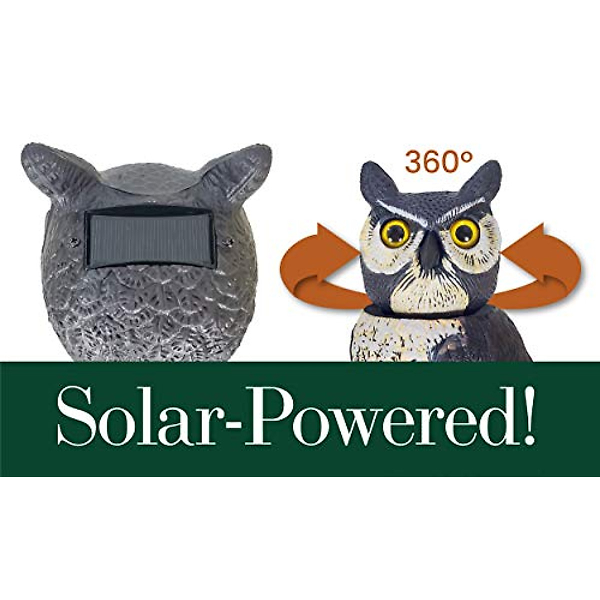 Dalen SOL-R Action Solar Fake Owl Decoy to Scare Birds Away from Gardens, Rooftops, and Patios - Scarecrow Provides Chemical-Free Pest Control - Safe and Humane, 18" 360º Rotating Head