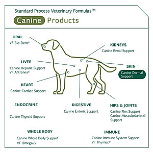 Standard Process Canine Dermal Support - Skin & Adrenal Gland Support Supplement - Comprehensive Skin Health Support Supplement for Dogs - Daily Immune & Liver Support Powder - 125 g