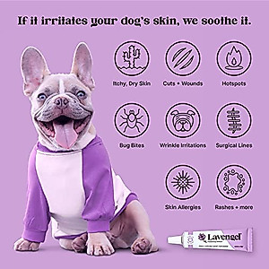 Lavengel Dog Skin Care Gel - Highly Concentrated Ointment Helps Relieve Itchy Skin and Heals Wounds Naturally, First-Aid for Skin Irritations, Hotspots, Sores, and Acne, We Support Rescues