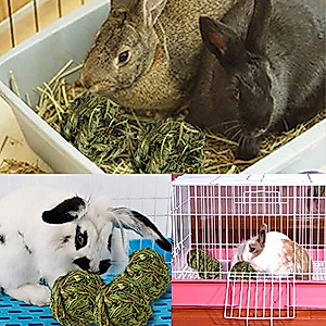 PINVNBY 6 Pack Rabbit Chew Grass Balls,Bunny Natural Timothy Woven Grass Ball Teeth Grinding Activity Play for Hamster,Chinchillas,Gerbils,Guinea Pigs and Other Small Animal