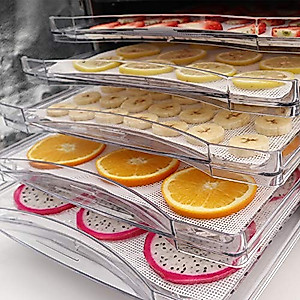 Bluedrop Pack of 5 Premium Non Stick Silicone Dehydrator Sheets For Fruit Dryer Mesh Dim Sum Mesh Dumpling Steaming Screen Mat