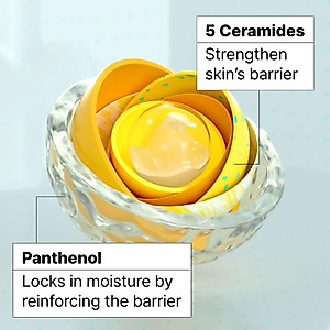 Dr.Jart+ Ceramidin Skin Barrier Face Cream Moisturizer For Dry Skin with Ceramides and Panthenol | Korean Skin Care, 1.69 Fl Oz