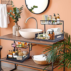 Houocon Under Sink Organizers and Storage, 2-Tier Under Bathroom Cabinet Organizer with Hooks, Pull Out Cabinet Organizer Under Kitchen Sink, Black, Metal