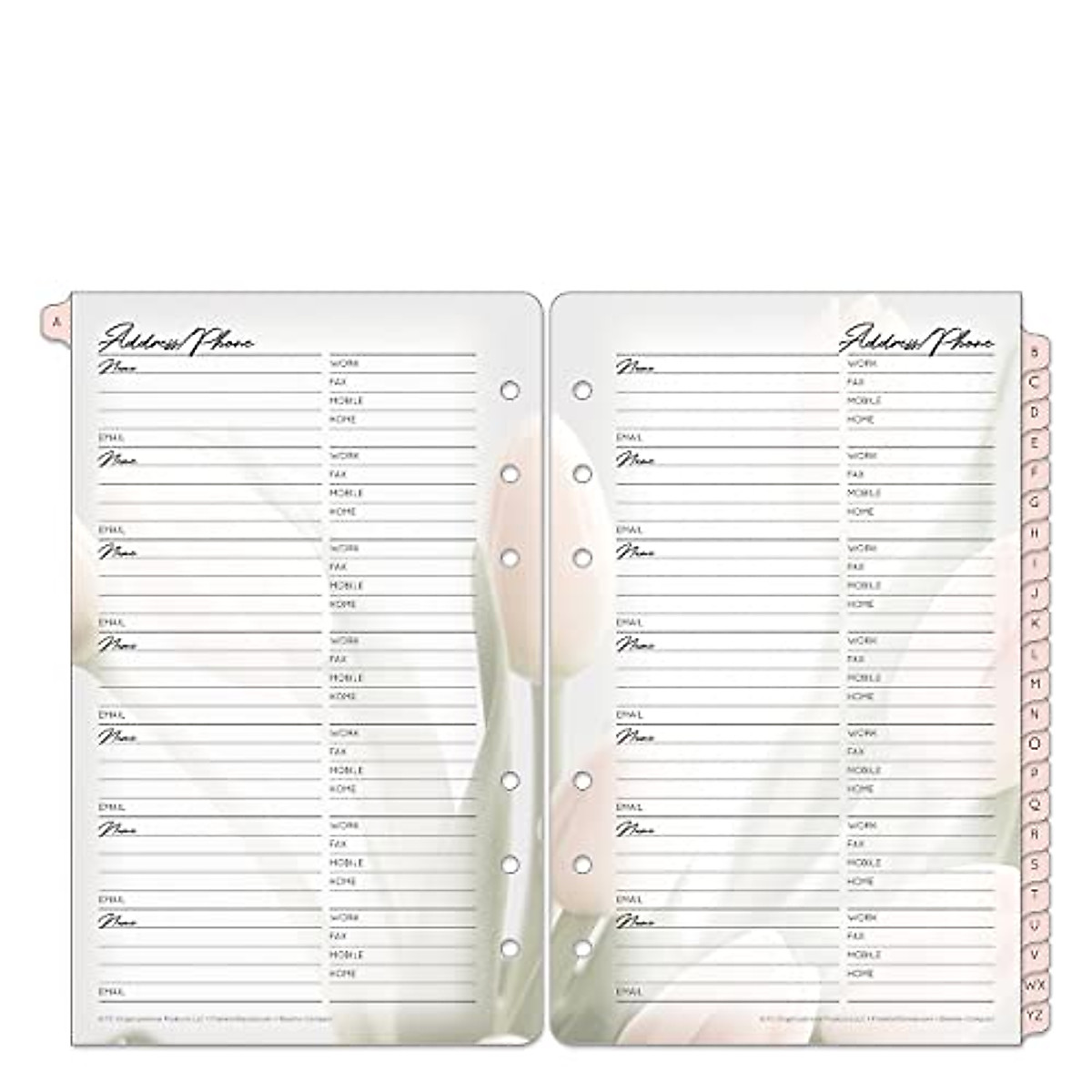 FranklinCovey - Blooms Address/Phone Tabs - Expansion for Planners (Compact, Pink/Green)