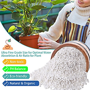 Legigo 2 Quarts Organic Horticultural Perlite for Plants Indoor- Natural Horticultural Soil Additive Conditioner Mix for Improves Drainage, Ventilation and Root Growth