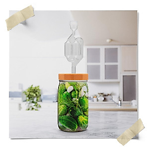 Fermentaholics 4-Pack Fermentation Lids with S Airlocks for Wide Mouth Mason Jars - Multicolored, Reusable, with Silicone Gaskets for Fermenting Vegetables, Sauerkraut, Kimchi & More