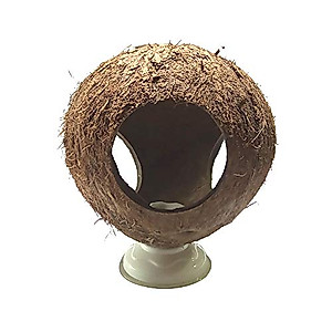 Aquarium Decor Fish Tank Three Hole Coconut Shell Dodge Hole Fish Cave Hole Shelter House Shrimp Nest/Bird's Nest (Coconut Shell & Suction Cup)
