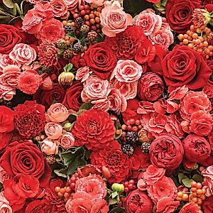 Ladybug Soap Company 5 Piece Set - Natural Travel Size Solid Perfume with Free Embroidered Cotton Bag - Phthalate Free - Rose Garden, Bee Balm, Violet Sandalwood, Gardenia, Tobacco White Santal