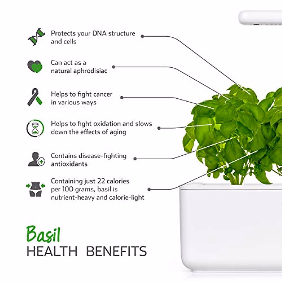 Click and Grow Smart Garden Basil Plant Pods, 3-Pack