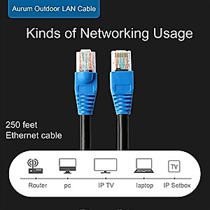 AURUM CABLES CAT5e Outdoor Waterproof Ethernet Cable with 24AWG RJ45 Plugs 350MHz Direct Burial Network Internet Cable for Data LAN Routers Modems Black 100 ft 1 Pack