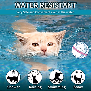 4 Pack Flea Collar for Cats, Cat Flea and Tick Collar 8 Months Cat Flea Collar Treatment Prevention, Adjustable Waterproof Cat Flea Collar Kitten Natural Tick and Flea Collar for Cat (Pink&Purple)