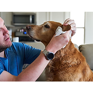 Pet Parents® Pet WiPees™ Ear, Cat & Dog Ear Wipes, Ear Cleaner for Dogs, Ear Wipes for Dogs. (100 Count (Pack of 1), Natural)