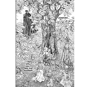 Berserk Volume 41 (Berserk (Graphic Novels))