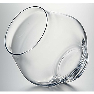 Luigi Bormioli Supremo 15.25 oz Pinot Noir Stemless Wine Glasses (Set of 2), Clear, 11281/02