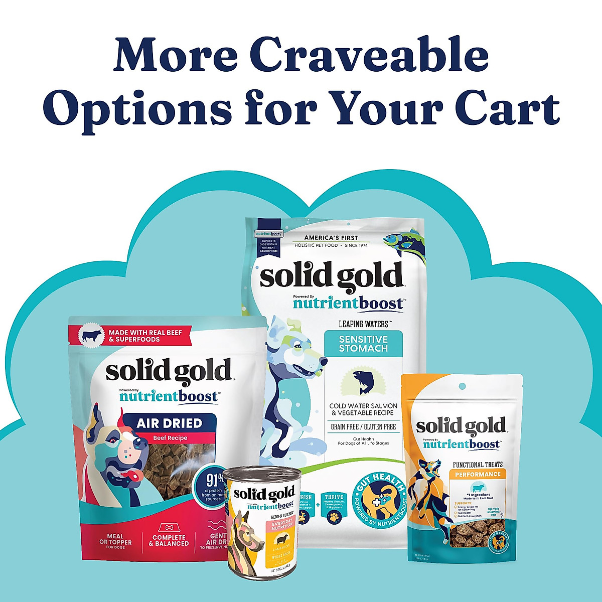 Solid Gold OMG! Omega Skin & Coat Fish Oil Dog Supplement - Chicken Flavored Vitamin C, E, & Biotin Chews for Skin Health, Immune Support & Itch Relief for Dogs - 120 ct