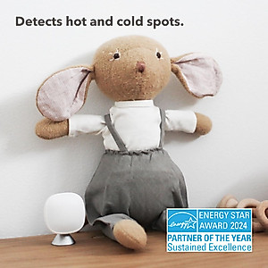 ecobee SmartSensor 2 Pack, White