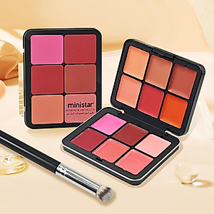 LSxia 12 Colors Cream [Blush] Makeup Palette for Cheeks - Multi-functional Blush Makeup Palette with Brush, Natural Matte Long Wearing, Waterproof Blendable Face Makeup Palette (#01)