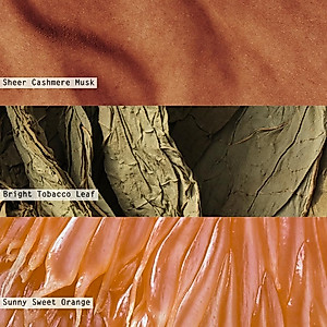 Illume Beautifully Done Essentials Terra Tabac Statement Glass Scented Soy Candle, 6" L x 3" W x 3" H