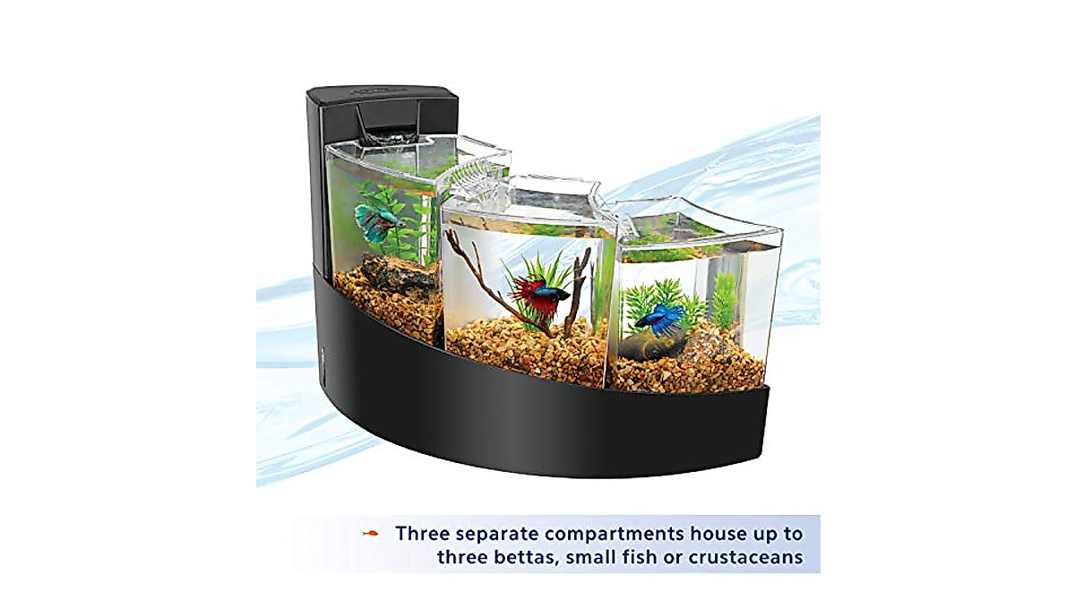 Aqueon Betta Falls Aquarium with QuietFlow Filtration | Stylish 3 ...