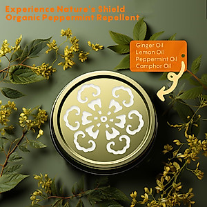 4 Pack Rodent Repellent, Peppermint Oil Evolute Formula for Rat and Mouse Use, Safe for Humans and Pets, Effective Repellent for Home, Car, Underhood, Garage, Indoor and Outdoor…