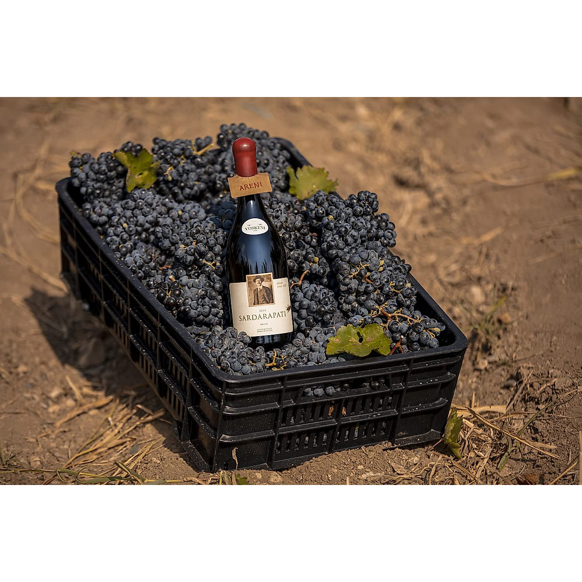 Colibrox Plain Kraft Paper Wine Bottle Tags (200 Pcs) - Durable Blank Wine Bottle Neck Tags, 2¼ x 3½ Inches with 1.1-Inch Hole - Multiuse Brown Kraft Paper Tags - Disposable Wine Vintage Tags