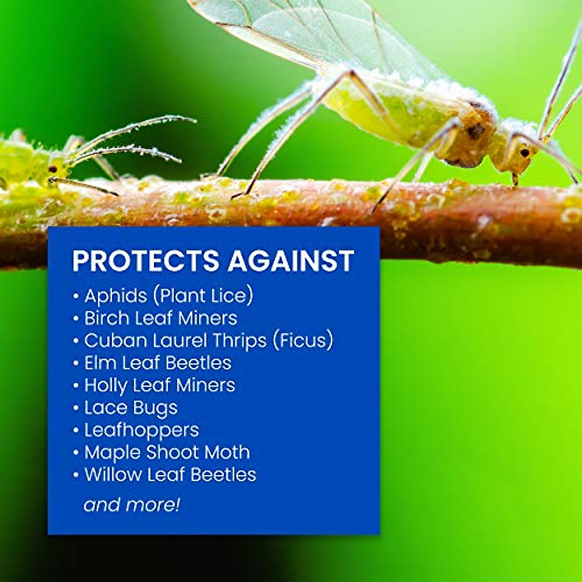 BioAdvanced 2-In-1 Systemic Rose and Flower Care, Granules, 10 lb