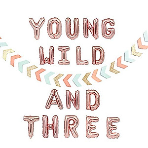 JeVenis Young Wild and Three Balloon Young Wild and Three Banner Young Wild and Three Decorations for Girl Third Birthday Decorations 3 Year Old Birthday Decor 3rd Birthday Balloon
