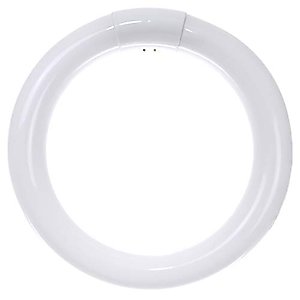 Sunlite 41316 FC8T9/CW 8-Inch T9 Round Fluorescent Circline Lamp, 22 Watts, 1250 Lumens, 4100K Cool White, G10Q 4-Pin Base, 1 Pack