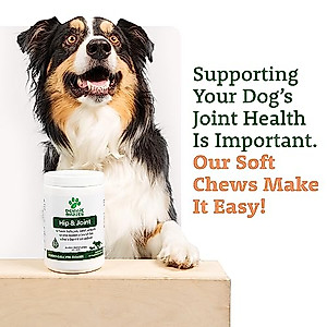 Doggie Dailies Glucosamine for Dogs – 225 Chews – Advanced Joint Supplement for Dogs with Chondroitin, MSM, Hyaluronic Acid & CoQ10 – Premium Dog Glucosamine (Chicken)