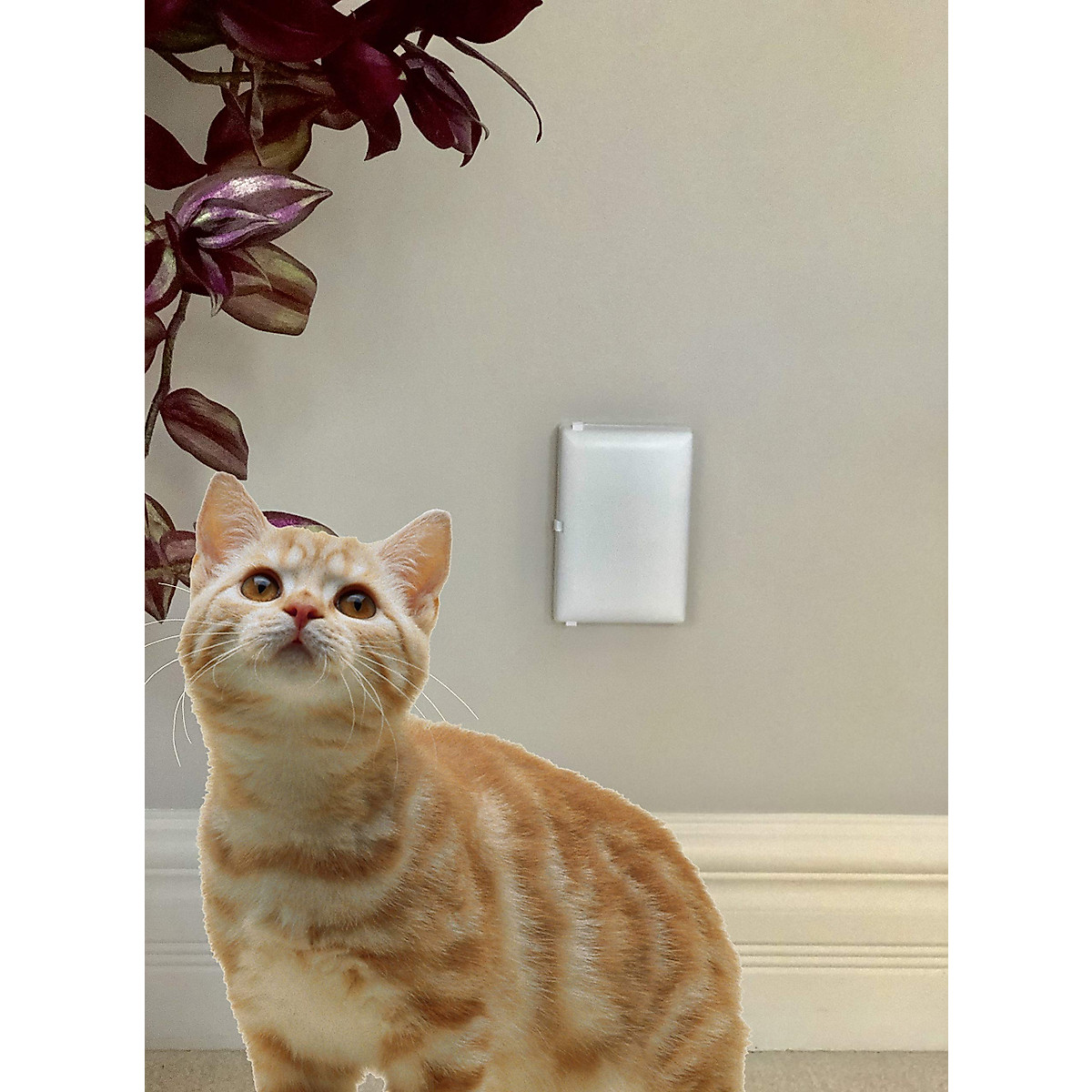 Child Be Safe Baby Toddler Pet Resistant Electrical Safety Cover Guard Home and Business for Decora Leviton Legrand Modern Wide Rocker Light Switch (1 Count, White)