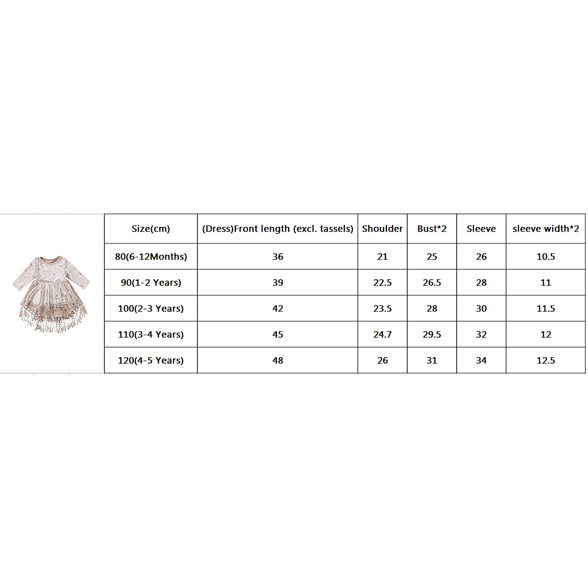 Vintage Princess Kids Baby Flower Girls Dress Silver Velvet Tassels Dresses Ruffle Long Sleeve Floral Lace Dress (Silver, 6-12Months)