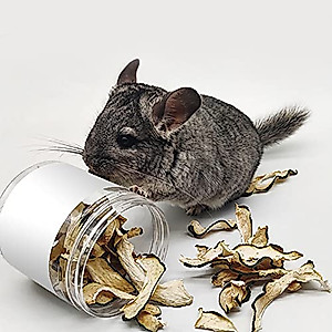 X-pet Rabbit Chew Toys and Chinchilla Treats, All Natural Material Suitable for Guinea Pig, Chinchilla, Hamster and Other Small Animals