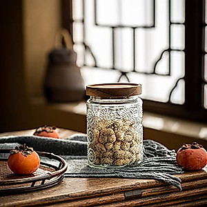 HolaJia Glass Jar with Lid – 24 oz Glass Storage Containers – Premium Jars with Airtight Lids for Coffee, Rice, Sugar – Decorative Cookie Jars for Kitchen Counter, Pantry(Fireworks)