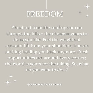 FREEDOM | Inspired by LLBO ANOTHER 13 | Pheromone Perfume Cologne for Men and Women | Extrait De Parfum | Long Lasting Dupe Clone Essential Oil Fragrance | Perfume De Hombre Mujer | (30 ml / 1 Fl Oz)