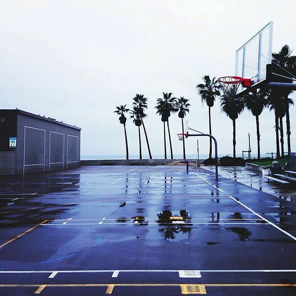 Heavy Duty Basketball Net Replacement, (7.47 oz) Upgrade Professional Basketball Net,All-Weather Anti Whip 21 inches Standard Thick Nets, 12 Loops for Indoor and Outdoor Replacement Net (White)