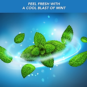 rebEarth Natural Deep Clean Charcoal Floss - Oral Care Dental Floss w/Mint Flavor, 30m Tooth Floss in Glass Container, Bamboo Floss w/Reusable Floss Container, Smooth & Shred Resistant (Pack of 4)