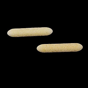 Spare Replacement Nib Tips for Paint Markers Perfect for 10 Kinds of Paint Markers Painting Pens Permanent Marker Pen Like Original, Easy to Change Nibs - 20pcs 22.5x4.45mm