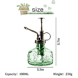 XXXFLOWER Glass Plant Mister Spray Bottle for Indoor Plant Spritzer Succulent Watering Bottle